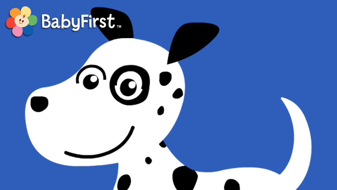 Bingo Song & More | Music Videos | BabyFirst TV - YouTube