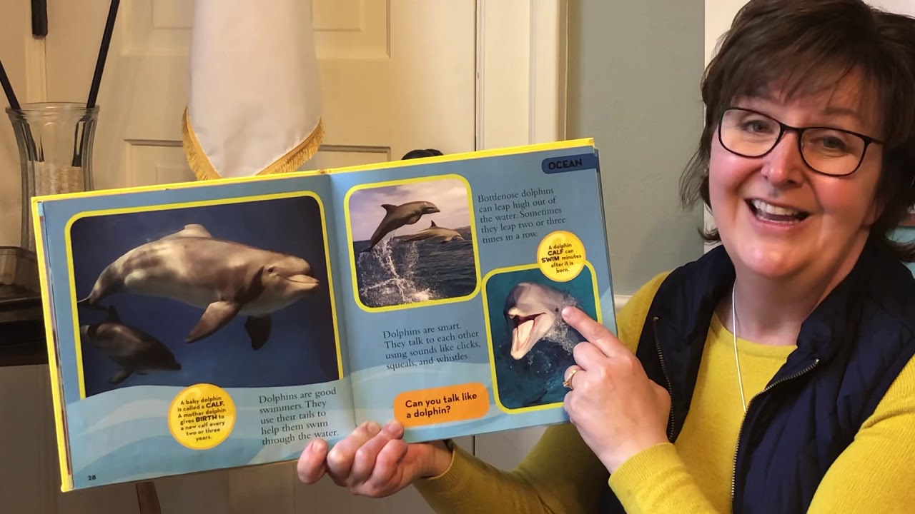 Trinity 4K May 11, Storytime (Ocean life)/Bible Story, 3rd video - YouTube