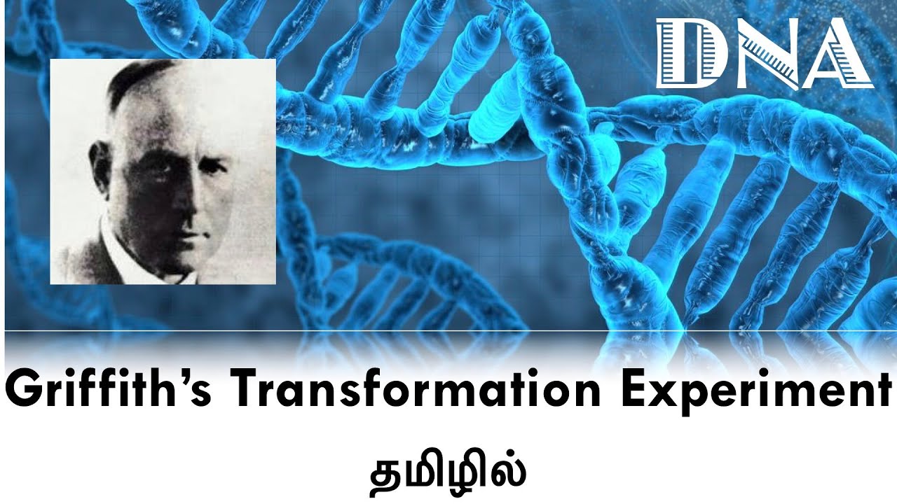 DNA as a Genetic Material | Transformation Experiment | Fredrick ...