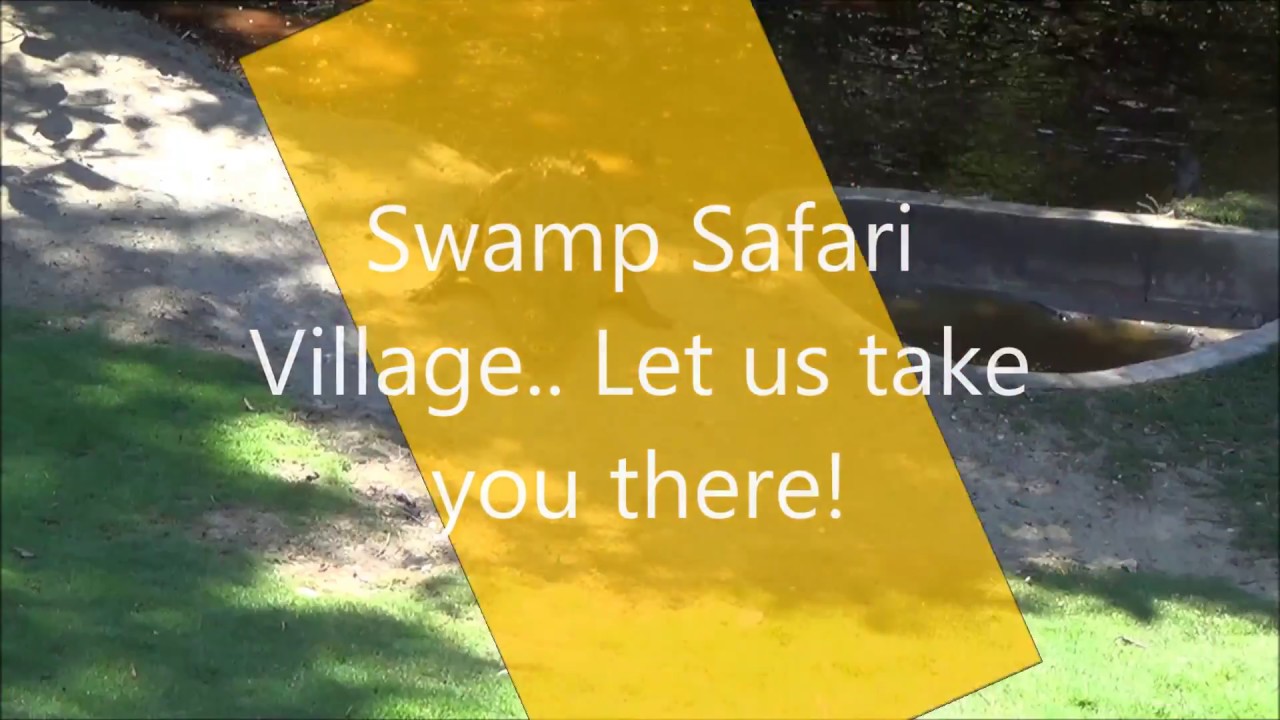 Swamp Safari Village - YouTube