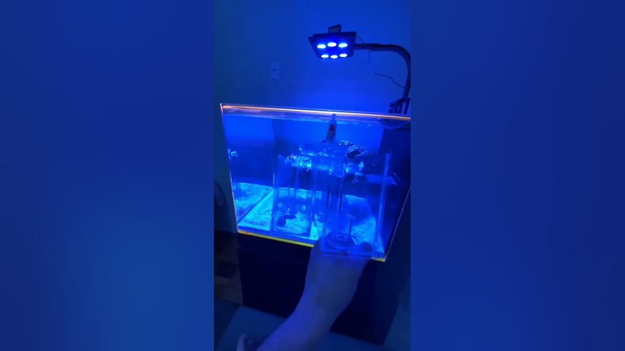 Montando meu Aquário do ZERO - EP 09 - OVERFLOWBOX - YouTube