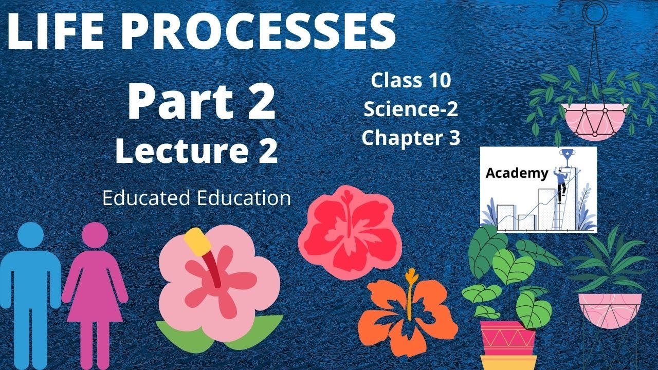 Life Processes- Part 2 Lecture-2 | Class 10 Science-2 Chapter 3 - YouTube