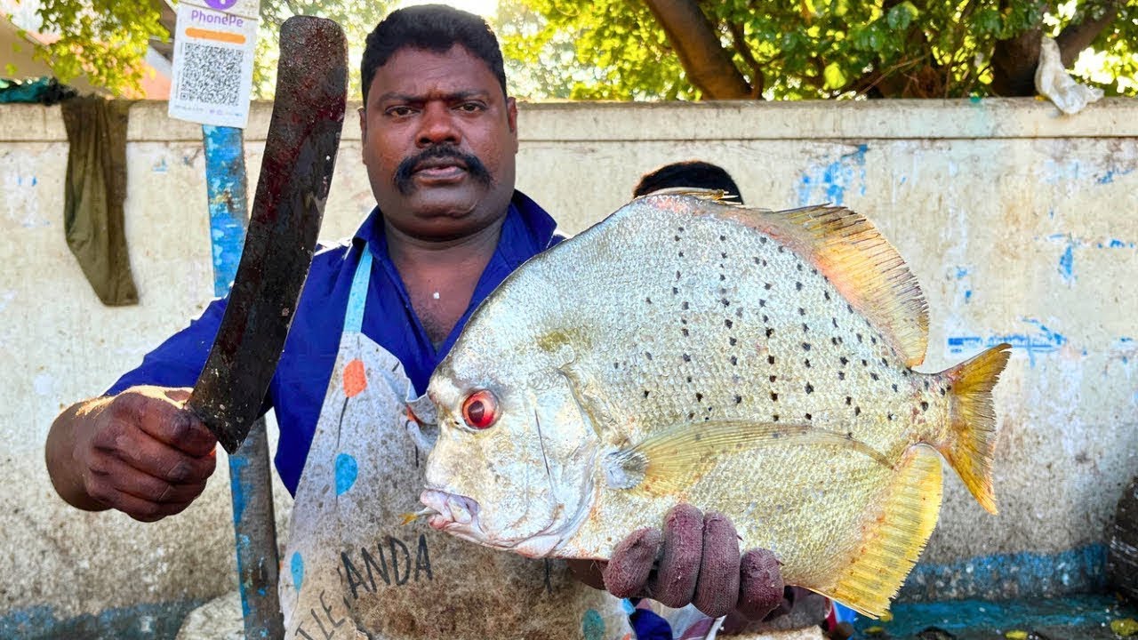 KASIMEDU 🔥 SPEED SELVAM | BIG GOLD SPADE FISH CUTTING VIDEO | FF ...