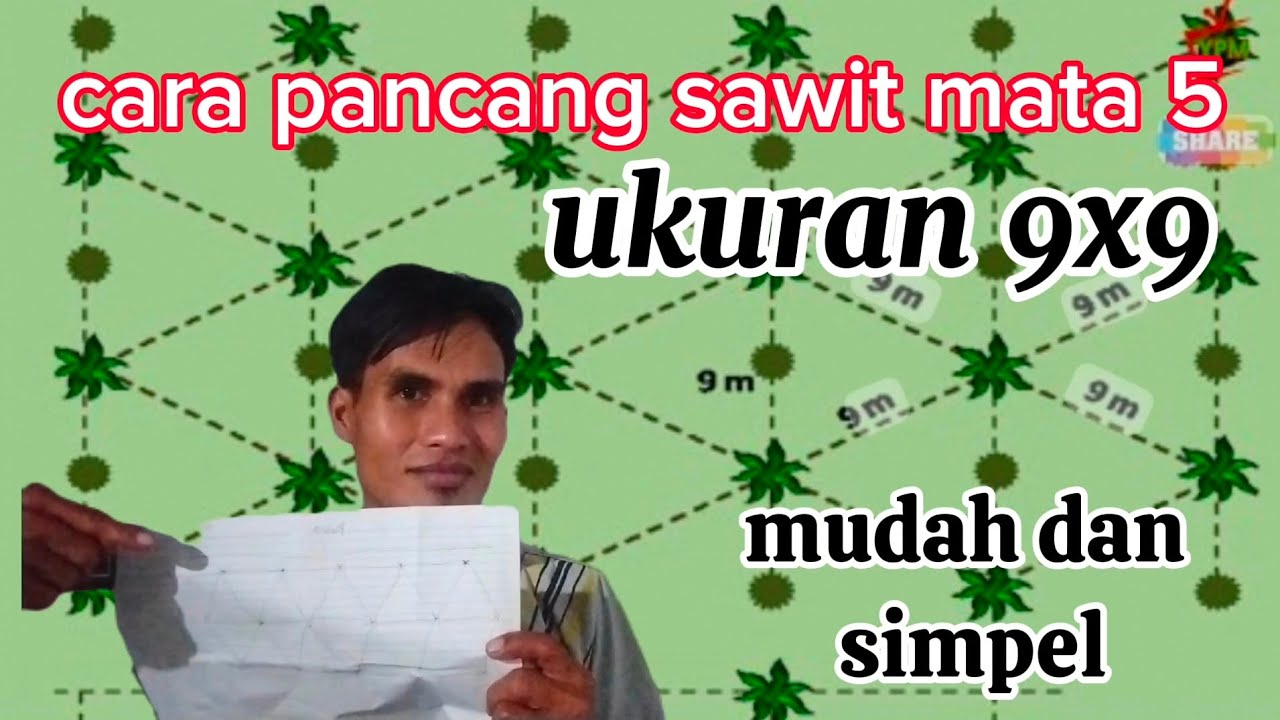 tutorial/cara pancang sawit mata lima, ukuran 9x9, cara mudah dan ...