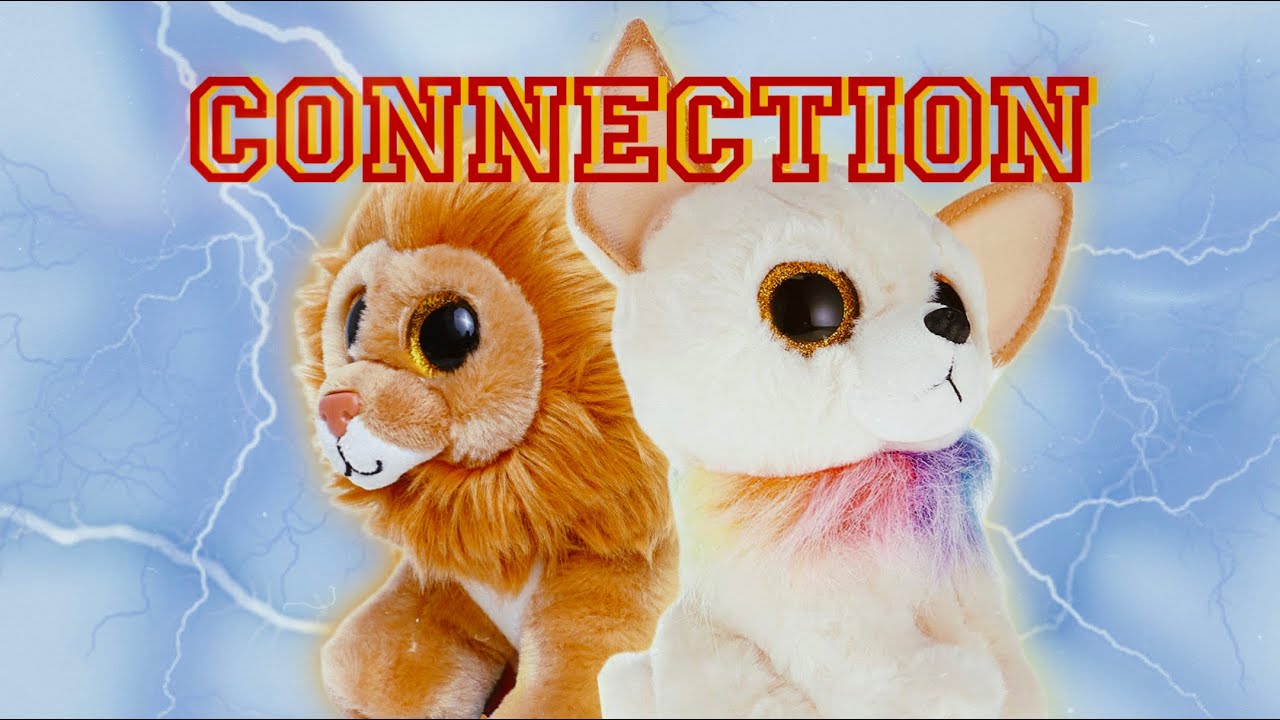 Connection- Beanie Boo Music Video (Collab with @Squirrel Paws) - YouTube