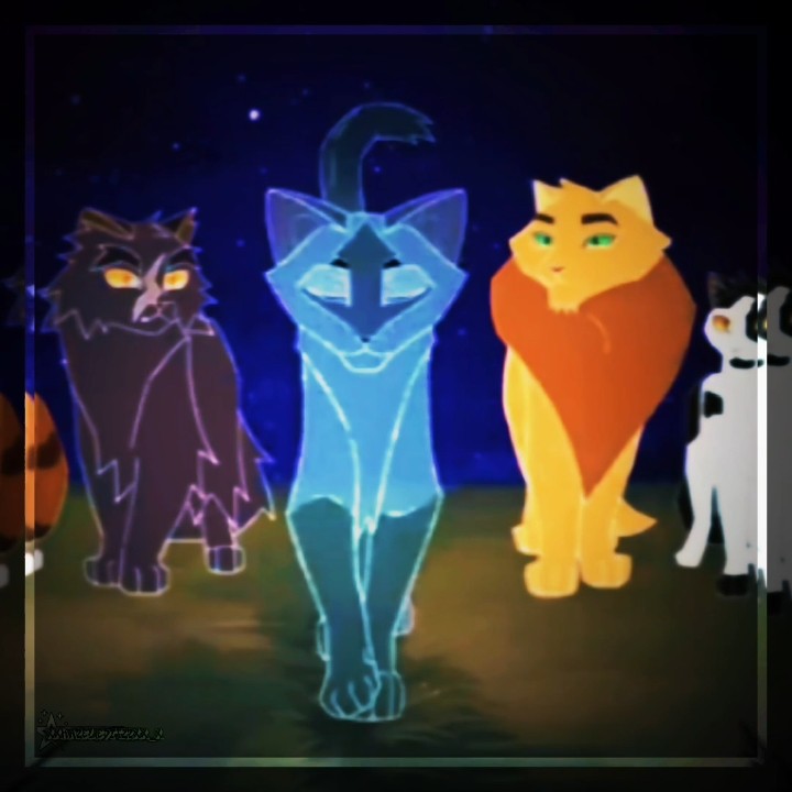 StarClan's chosen wc edit 🫶- #warriorcats #trend #firestar #yellowfang ...