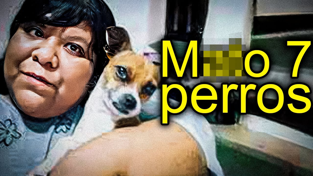 LA SITUACIÓN de AIMEP3 y CHIWIS cada vez es PEOR - YouTube