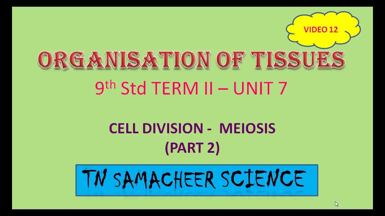 9th Std TN Samacheer Science | Organisation of Tissues - Meiosis (Part ...