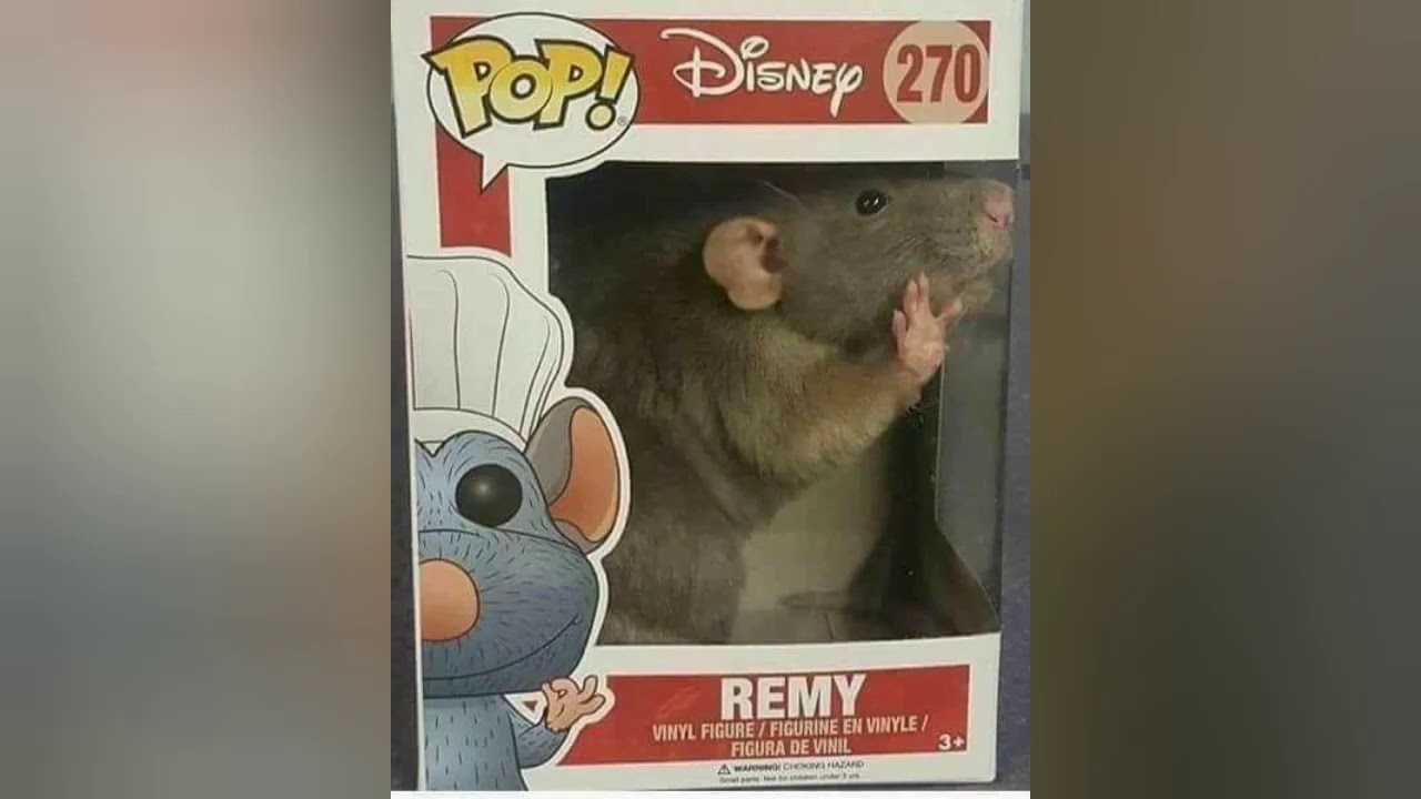 Cursed Rat🐁 images - YouTube