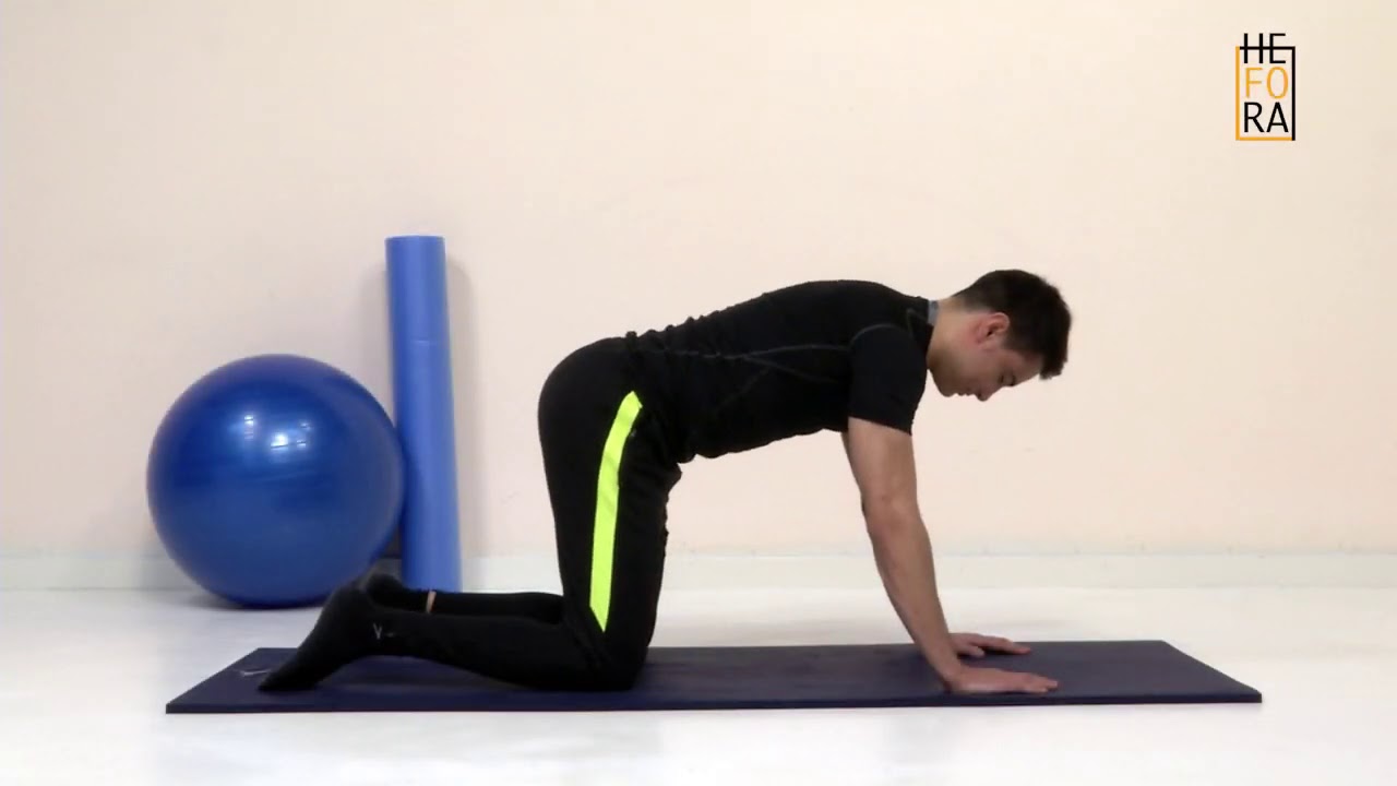 Pelvic tilt four point kneeling - YouTube