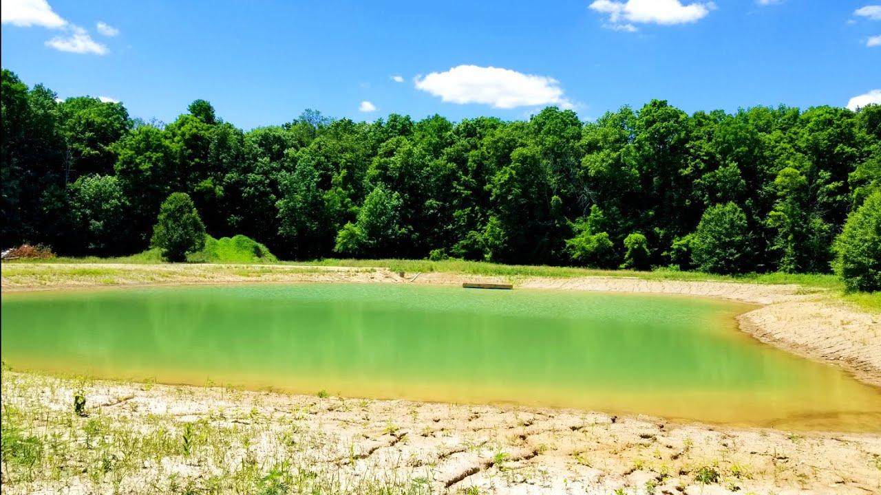 Is The One Acre Pond Full Spring Update 2020 YouTube