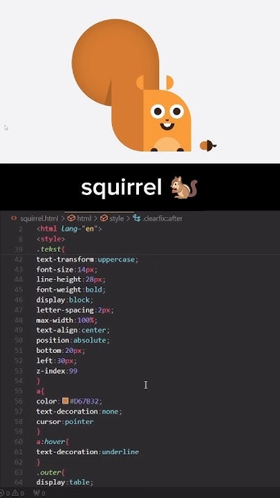 Squirrel Animation Html Css Coding Shorts 🖇️ Coding Shorts Computerscienceconcepts Html