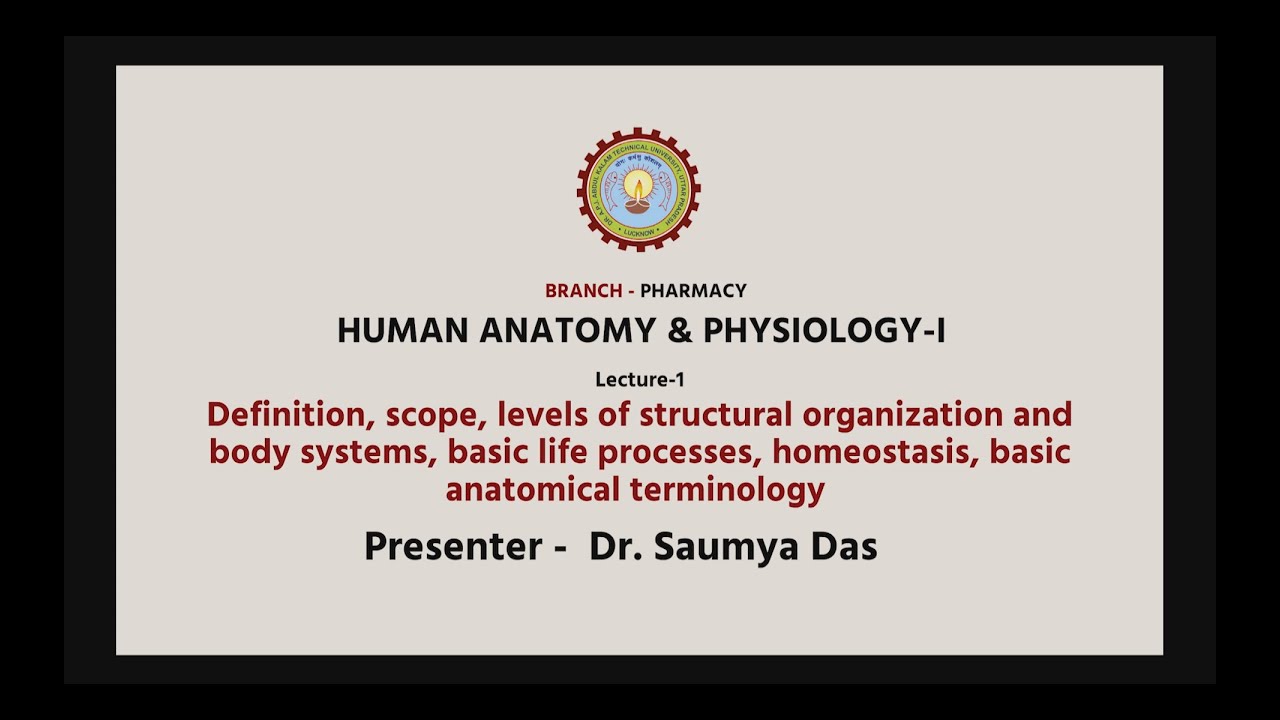 Human Anatomy Physiology Definition Scope Levels Of Structural human-anatomy-physiology-definition-scope-levels-of-structural