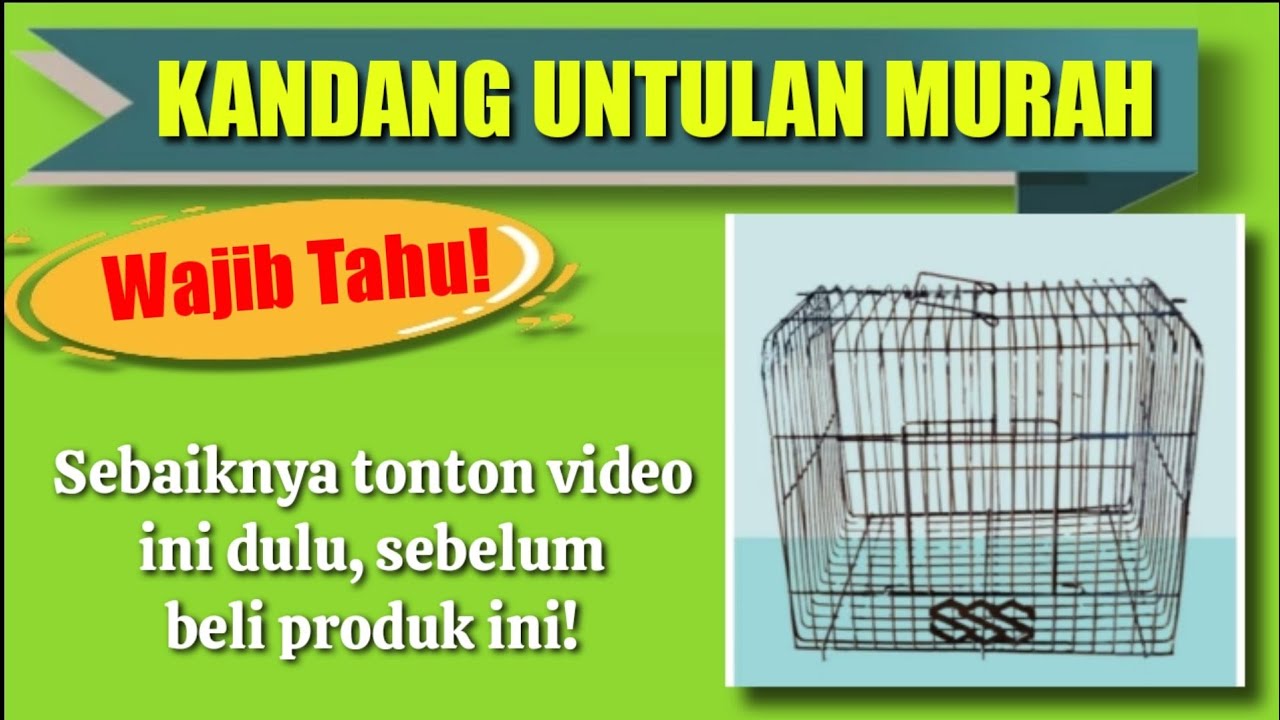 Kandang Untulan Murah! - YouTube