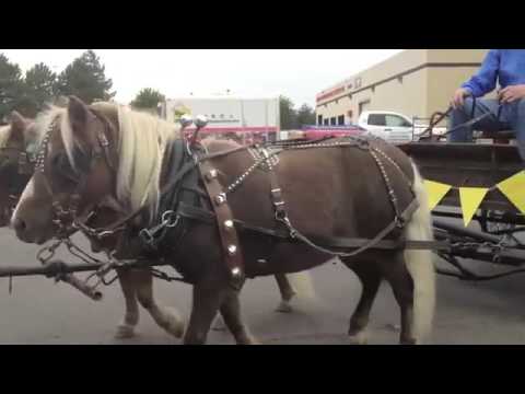 Exceptional Rodeo at Kennewick Ranch and Home - YouTube
