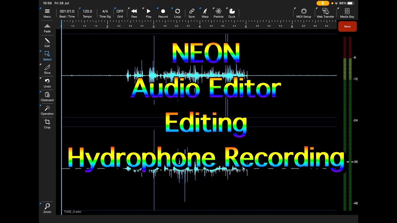 NEON Audio Editor - Multi Editing Hydrophone Samples in Detail ...