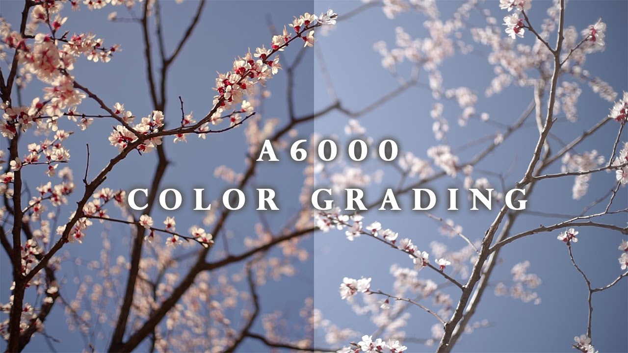 Sony A6000 Color Grading | 7artisans 25mm f1.8 - YouTube
