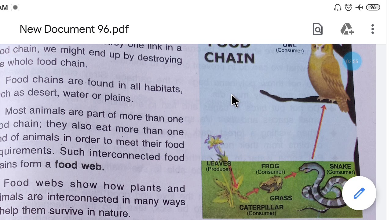 Class5 Science Ch 4 Youtube 6409