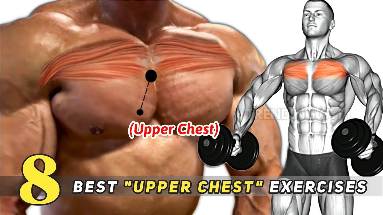 Build Upper Chest - [8 Effective Chest Exercises Routine] - YouTube