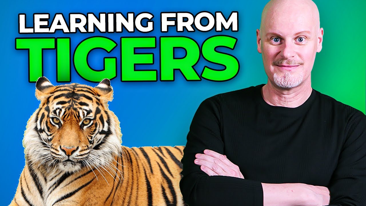 What Tigers Taught Me About Anxiety | Stress Management Techniques ...