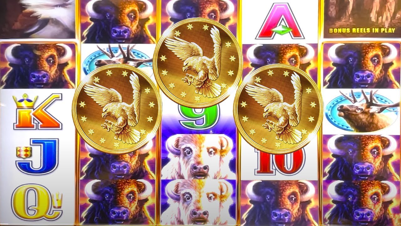 BIG COINS = BIG WINS 🦬 Buffalo Chief - YouTube