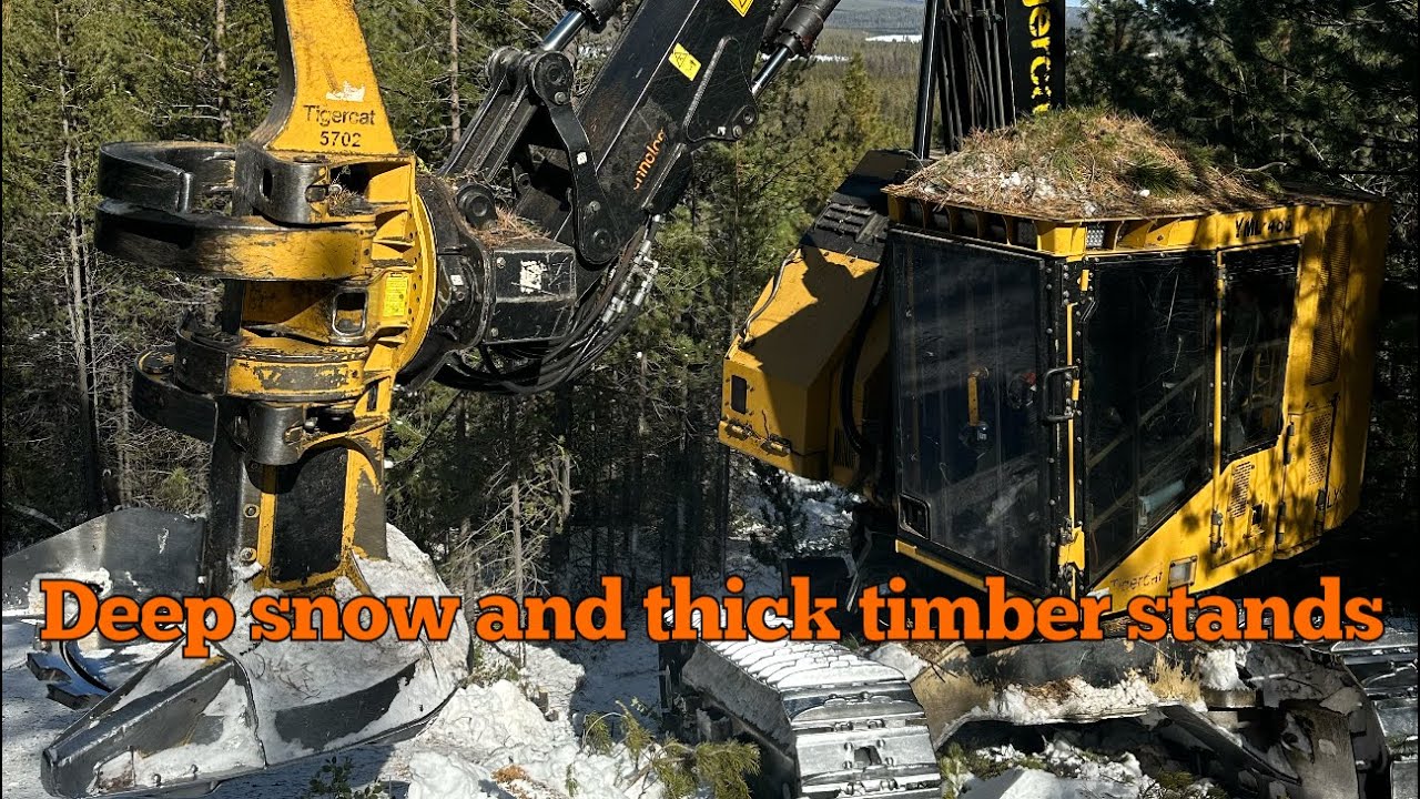 Into the thick of it! Tigercat 830D In it’s natural habitat - YouTube