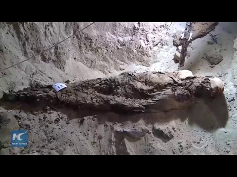 Amazing 17 mummies recently unveiled in Egypt’s Minya