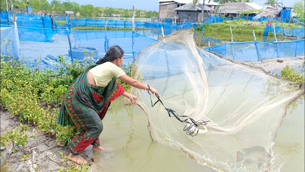 Village Cast Net Fishing | Beautiful Smart Girl Catching Fish With A ...