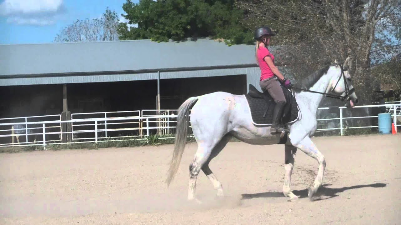 Erin Ellert riding with Debbie Riehl-Rodriguez on Silverwood part 2 ...