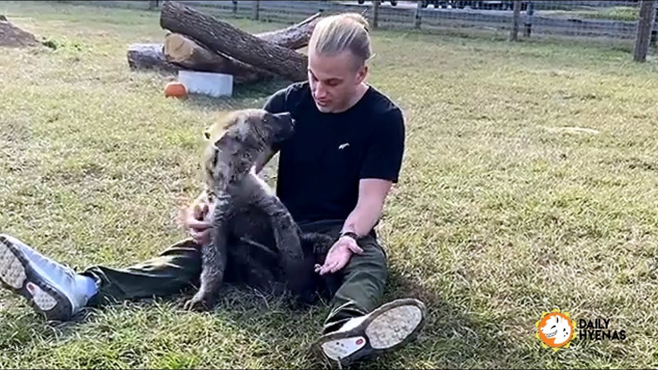 Max Strong gets cuddled by Huey the hyena - YouTube