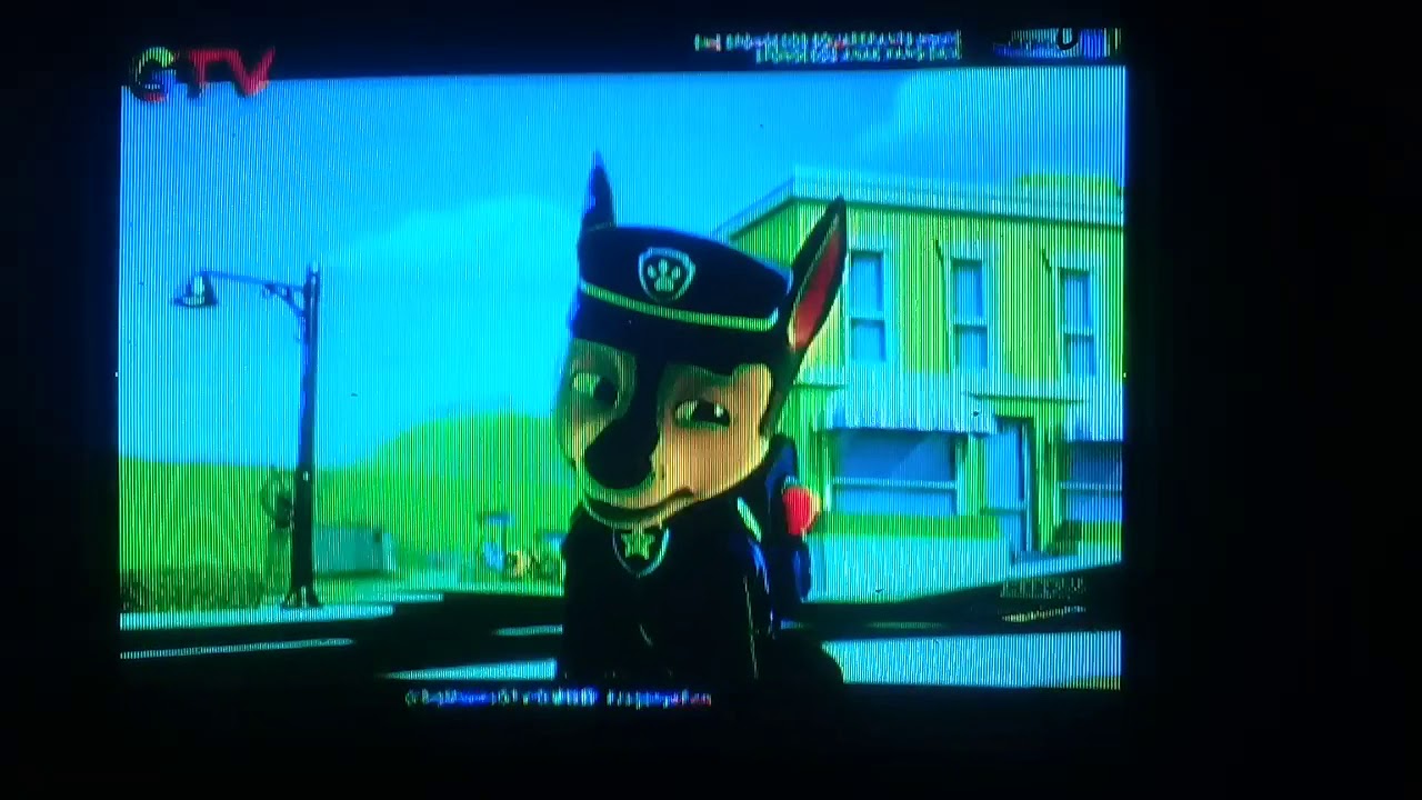 PAW Patrol-Pups save the Sea Turtles [Indonesian] Chase khawatir pada ...