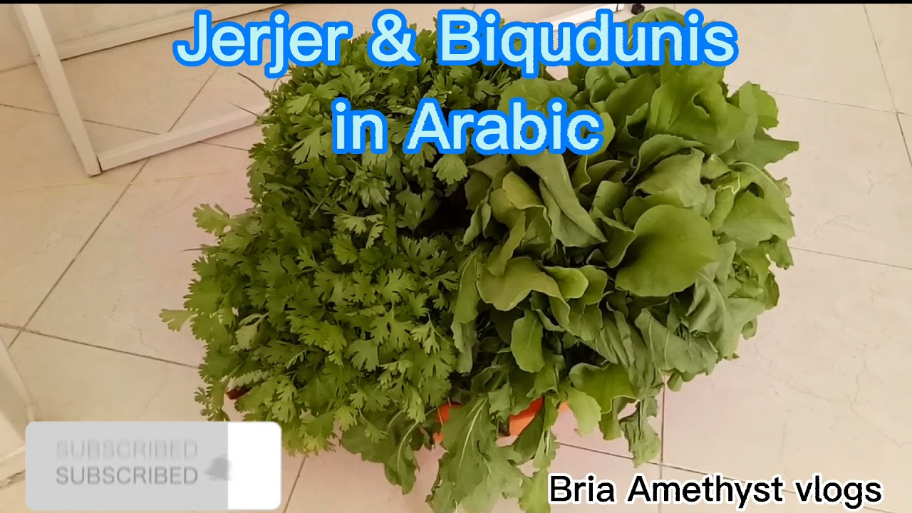 JerJer(parsley) Biqudunis(Aragula leaves) /fresh veggies from the ...