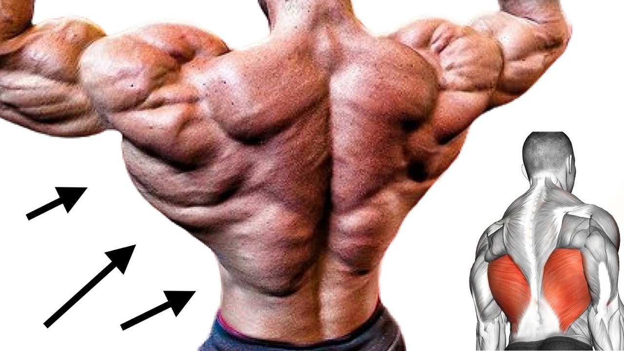 Complete Back Workout to Get V Taper ( V Shape ) - YouTube