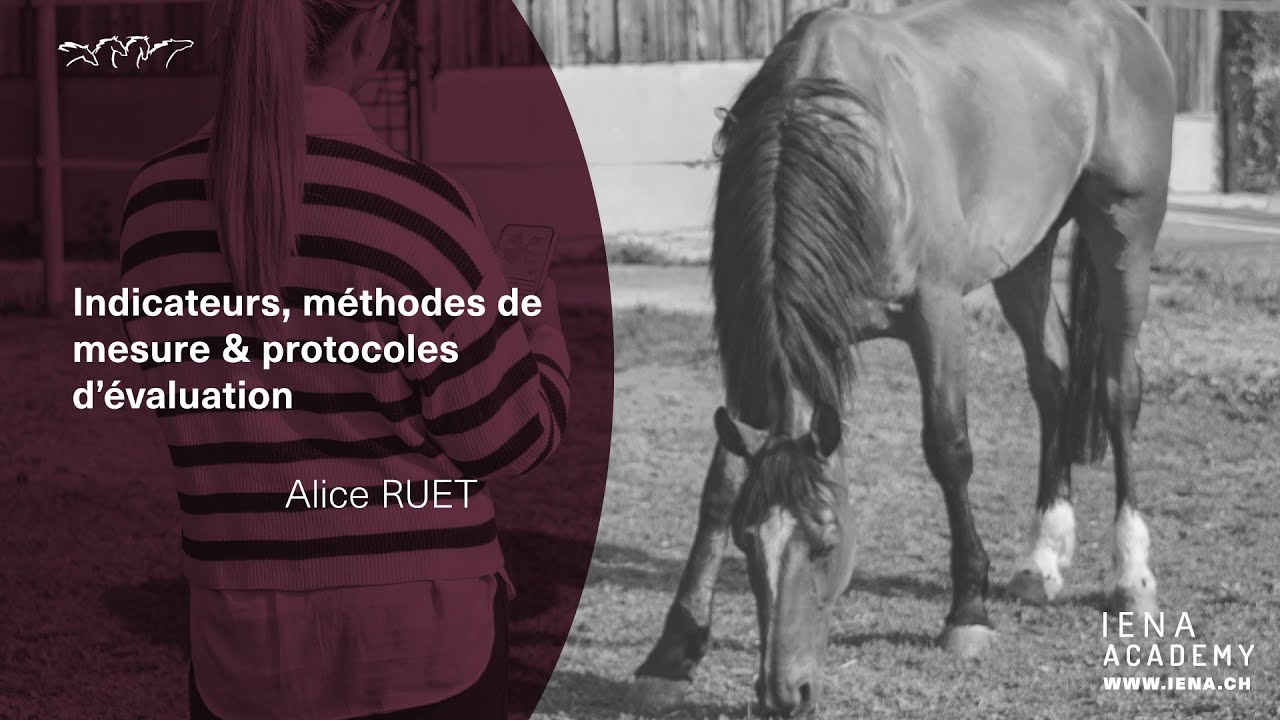 Comment évaluer le bien-être du cheval? | Alice Ruet | Indicateurs ...