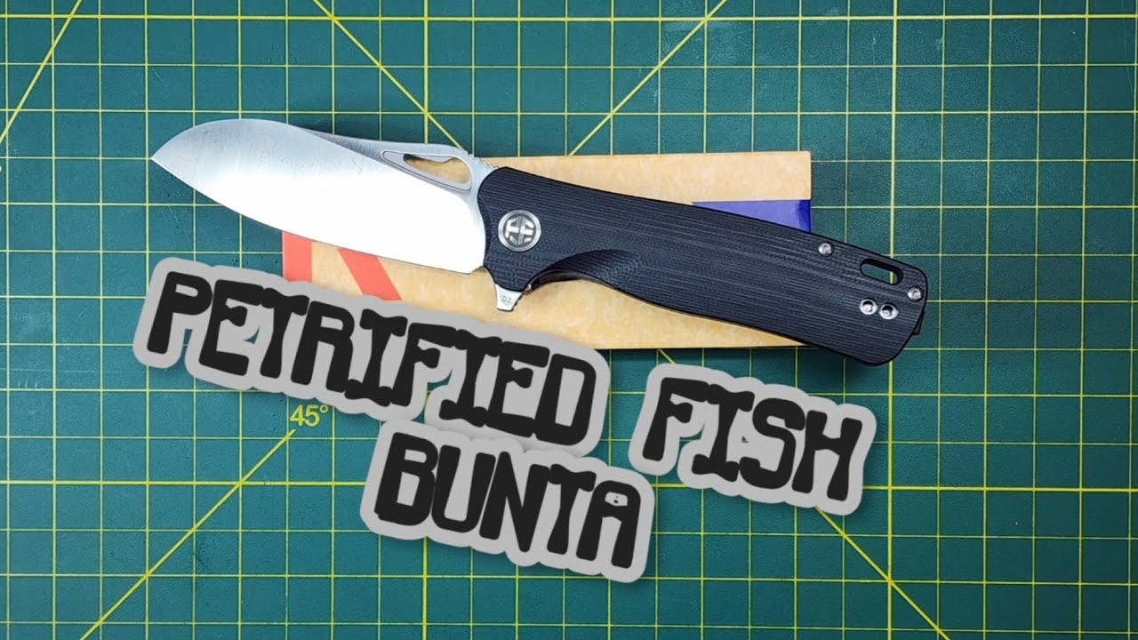 PETRIFIED FISH BUNTA D2 G10, Excellent ergo's and action, super slicey large blade. - YouTube