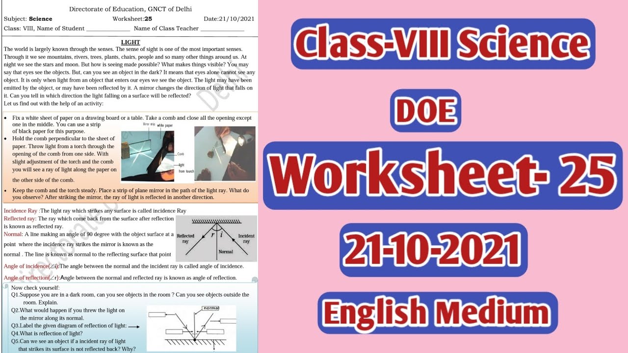 doe | Worksheet 25 | science | class 8 | 21 October 2021 | english ...
