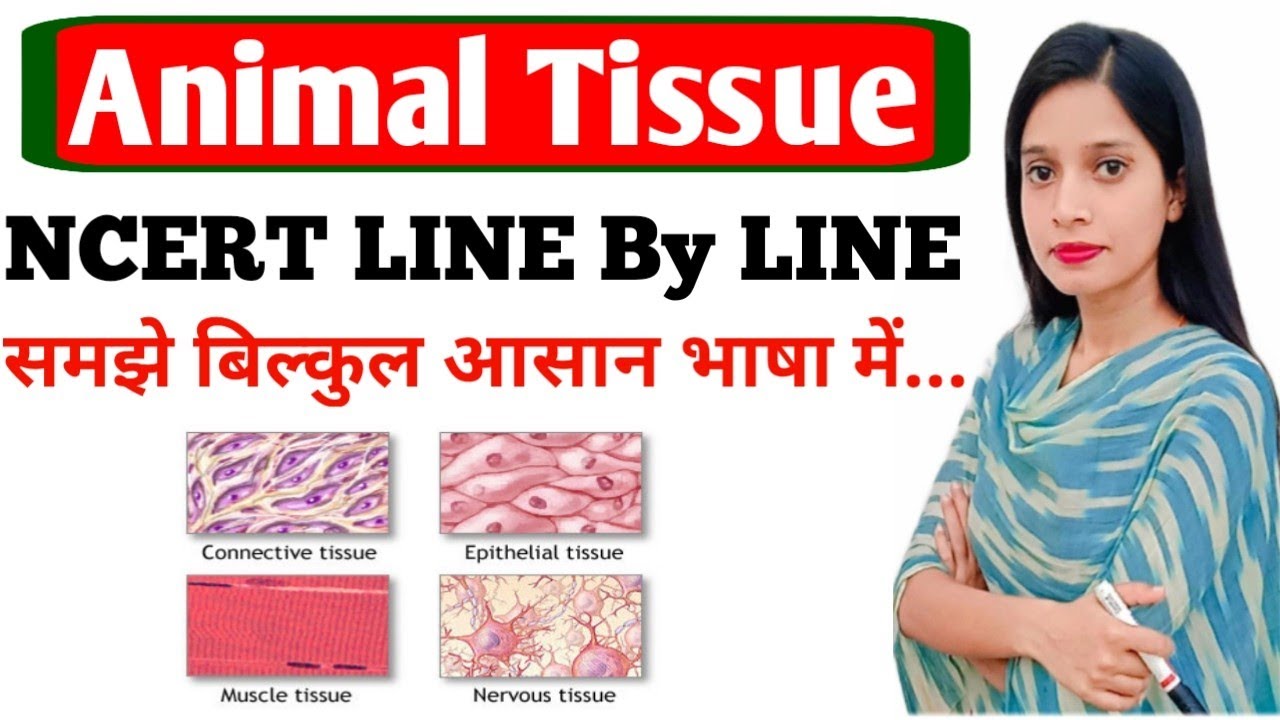 Animal Tissue L1 | INTRODUCTION | BIOLOGY | easiest lecture | CLASS 11 ...