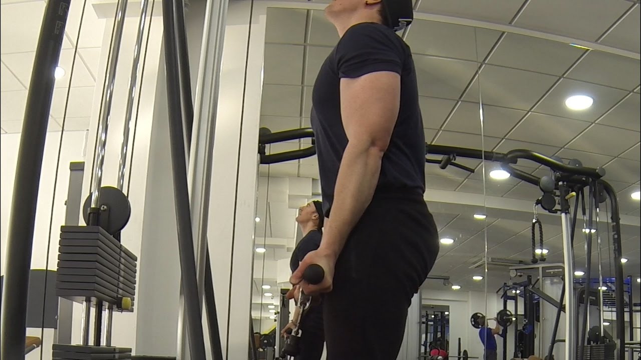 DAY 3 | Full Body Natural Bodybuilding Routine - YouTube