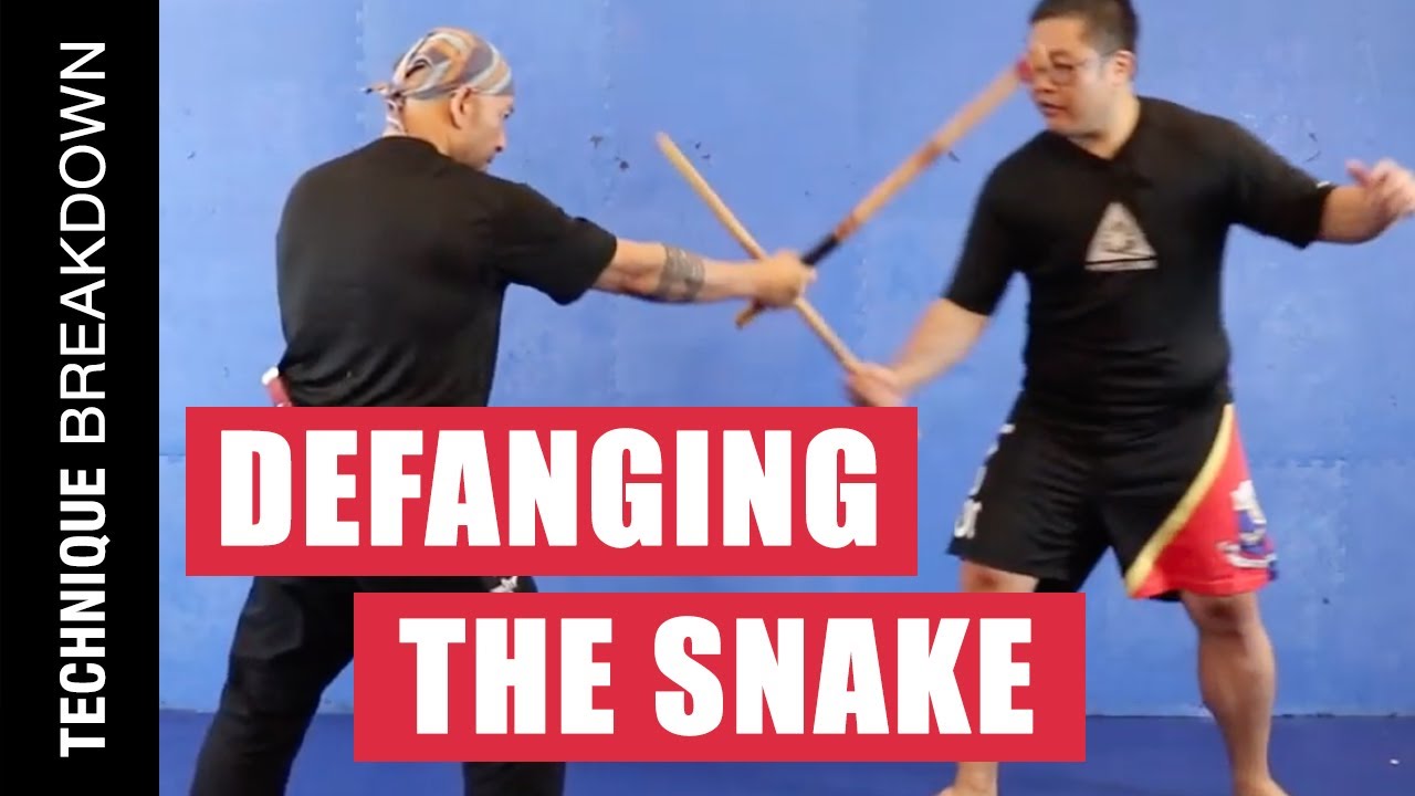 What is Defanging the Snake? | Filipino Martial Arts | Technique ...