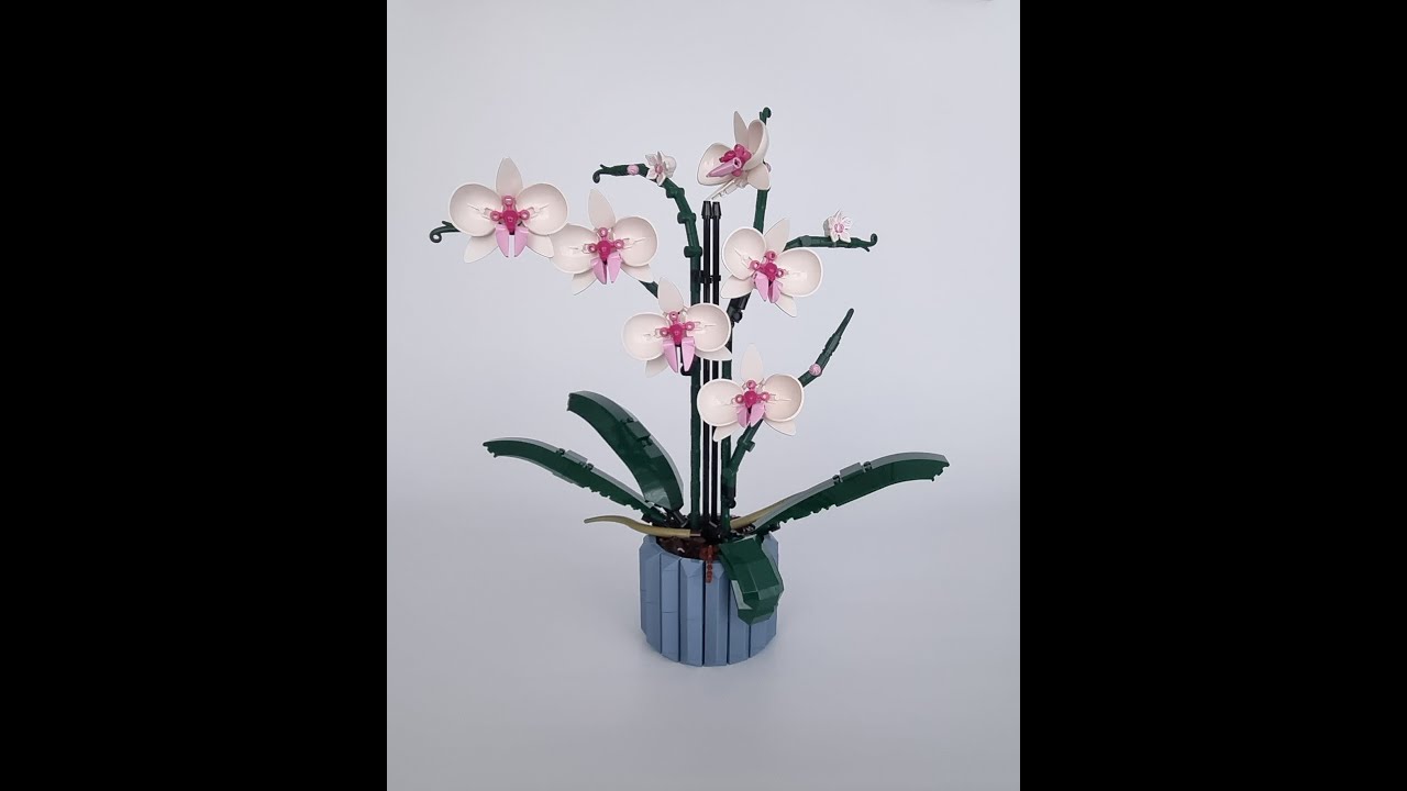 LEGO 10311 Orchidee - YouTube