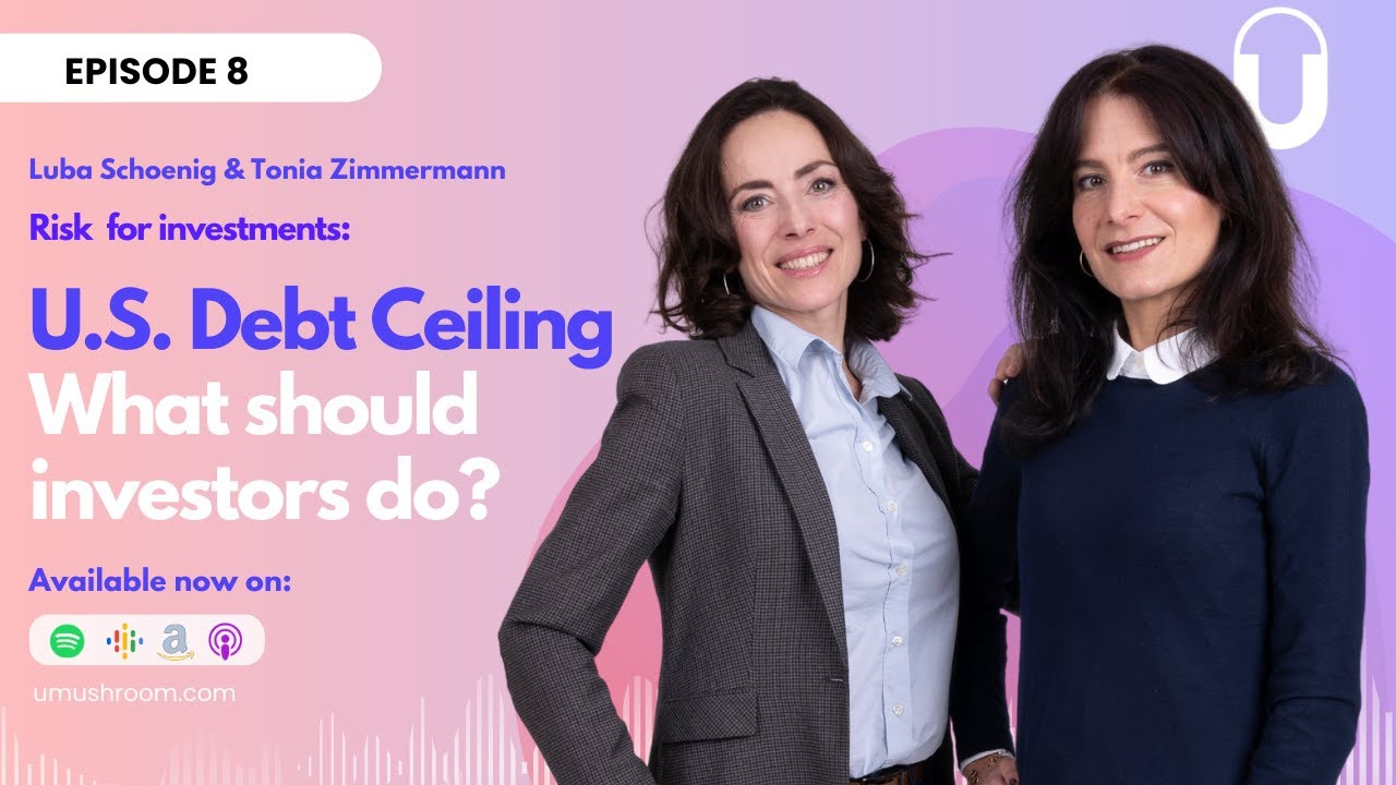 The U.S. debt ceiling crisis 2023 - YouTube