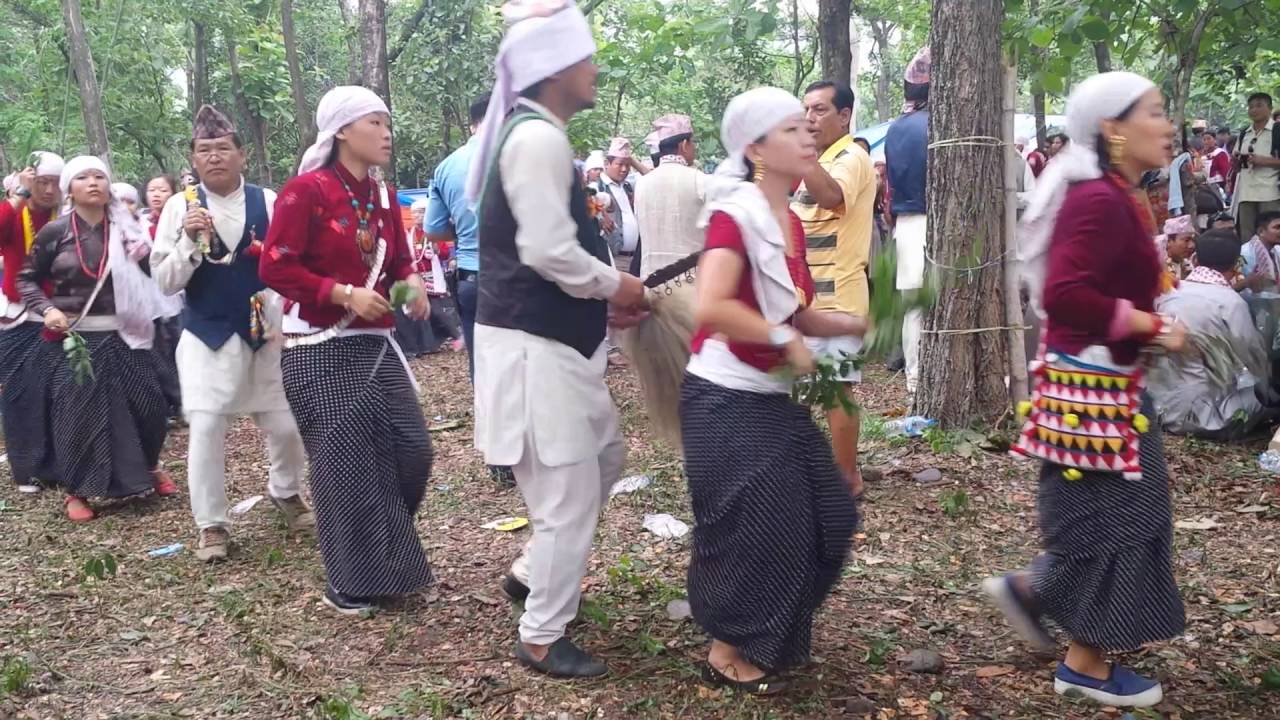 dharan chandi nach 2016 jtahari grup - YouTube