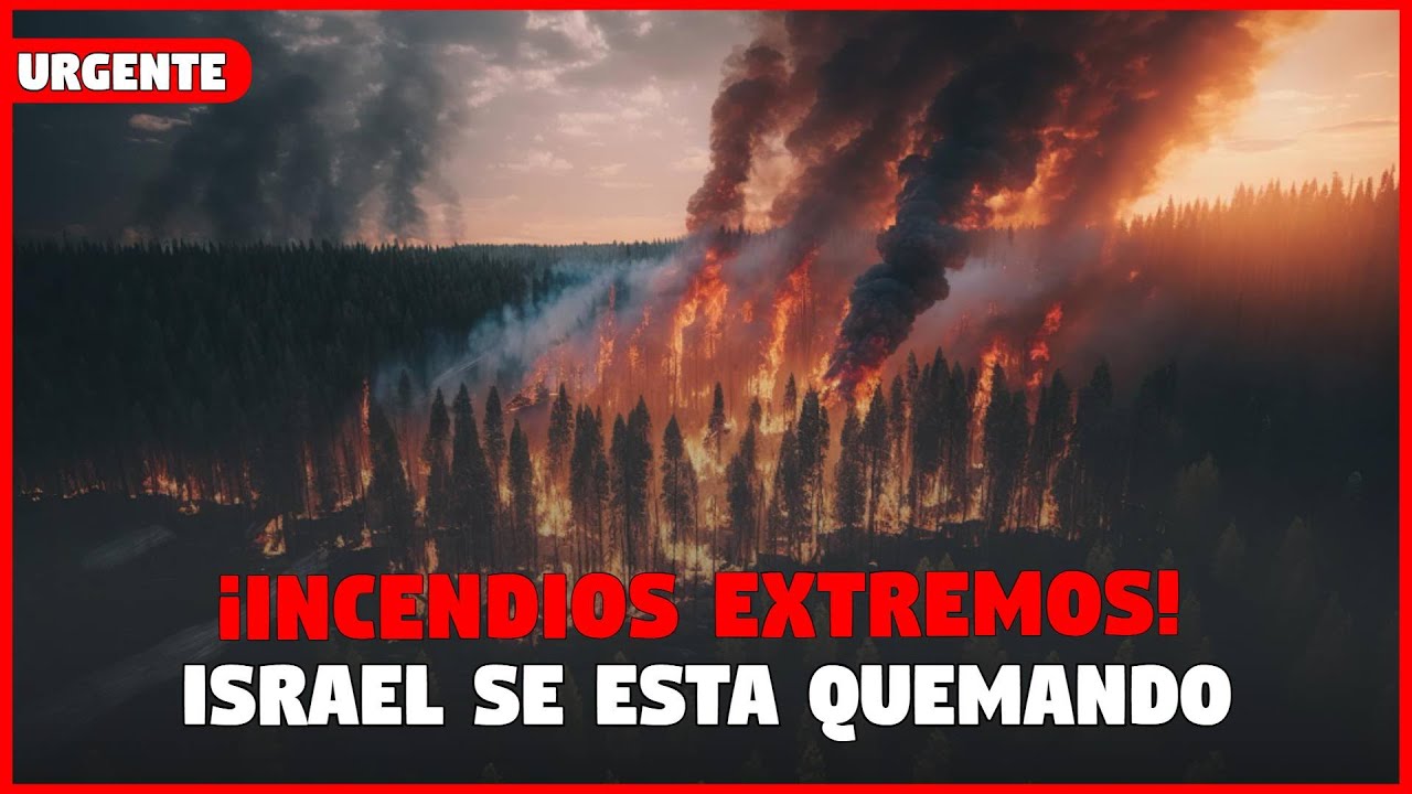 ¡INCENDIOS EN TODAS PARTES! ISRAEL SE QUEMA, ¡INCENDIOS FORESTALES ...