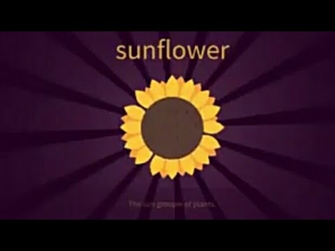 How Do You Make Sunflower In Little Alchemy | Best Flower Site