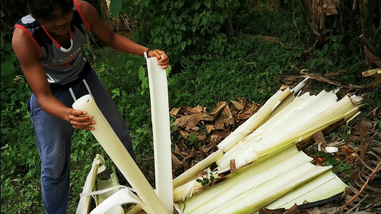 Ubod ng saging with bisayang manok - YouTube