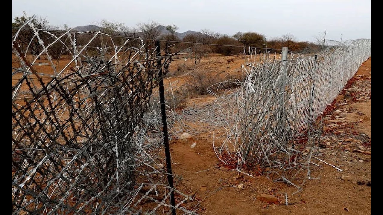 You Have a Choice... Secure Borders or Open Borders - YouTube