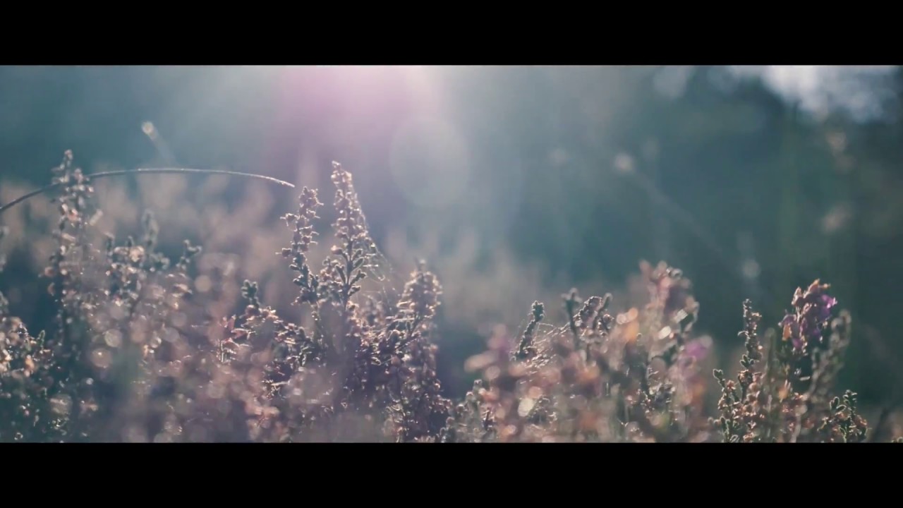 Eisht as Nish - Bernard Caine RBV - YouTube