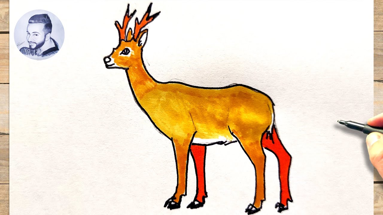 Comment dessiner un chevreuil facile à dessiner - YouTube