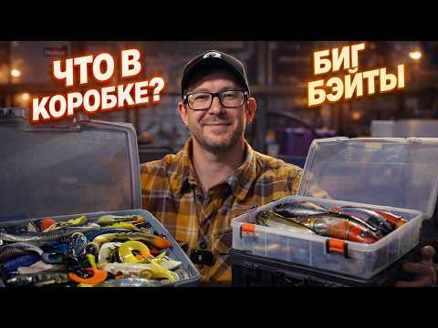 Что лежит в коробке? Топовые приманки КотоВасии. Биг Бейты.