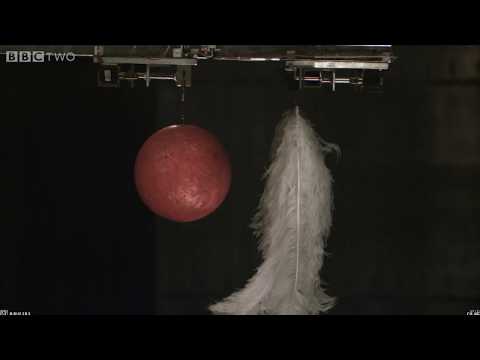 NORMAL SPEED: Bowling Ball and Feather falling in a Vacuum Chamber
